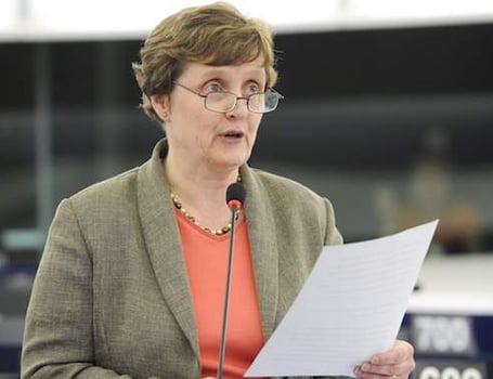 MEP Anthea McIntyre supports small businesses | rossgazette.com