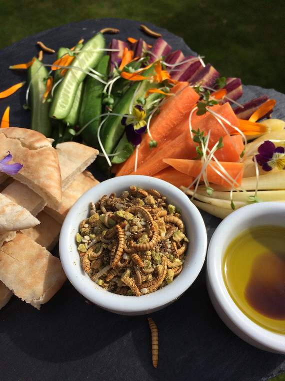 Bake your own ‘Bug Bread’ at free family food event | rossgazette.com