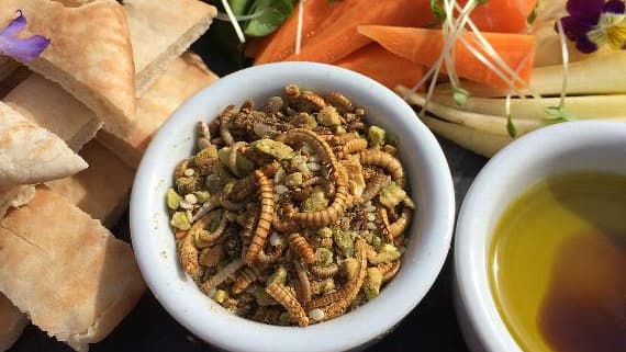 Bake your own ‘Bug Bread’ at free family food event | rossgazette.com