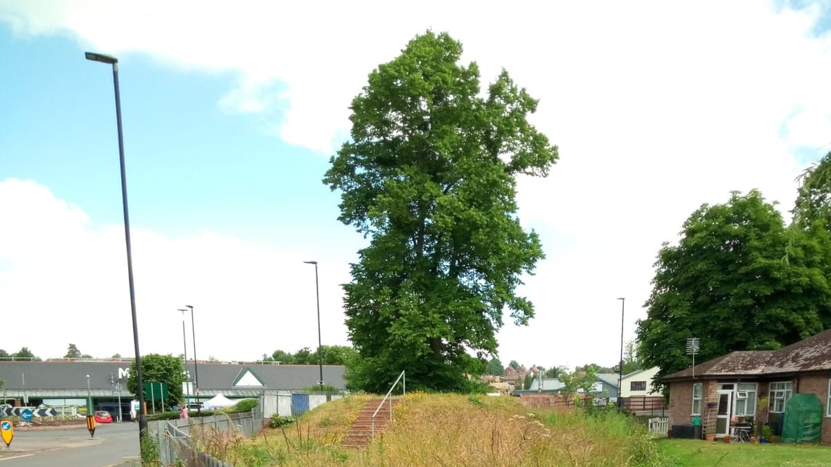 Vegetation spill at water station | rossgazette.com