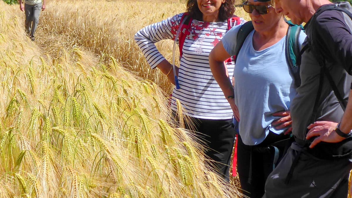 1,600 miles covered at Ross Walking Festival | rossgazette.com