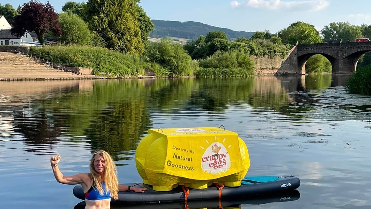 Wildlife organisations on both sides of the border aim to halt ...