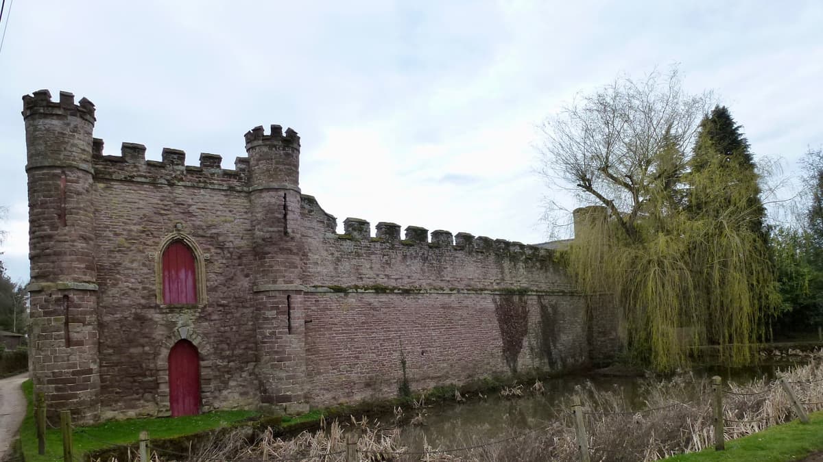 Hamster’s castle plan comes tumbling down | rossgazette.com