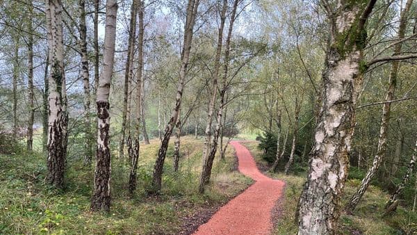 Forest's New Fancy viewpoint upgraded | rossgazette.com