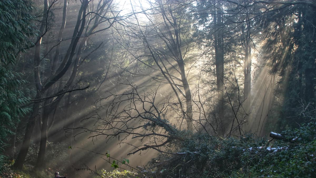 Community highlights: Photography, W.I. on water conservation, Vaga ...