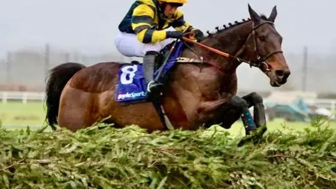 Venetia targets second Grand National upset | rossgazette.com
