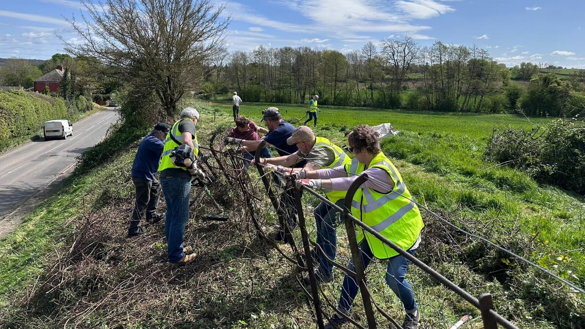 Dymock banks on daffodil restoration project for biodiversity drive ...