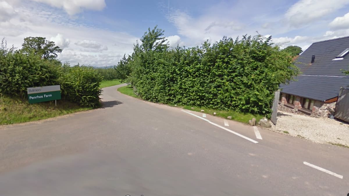 Outcry as Bulmers apple orchard destroyed | rossgazette.com