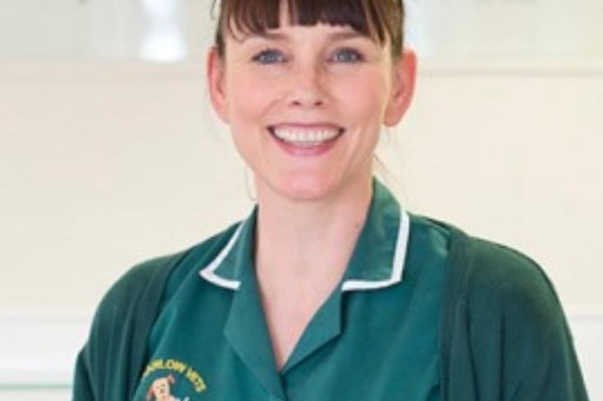 Hero vets race to scene of Wye Valley crash | rossgazette.com