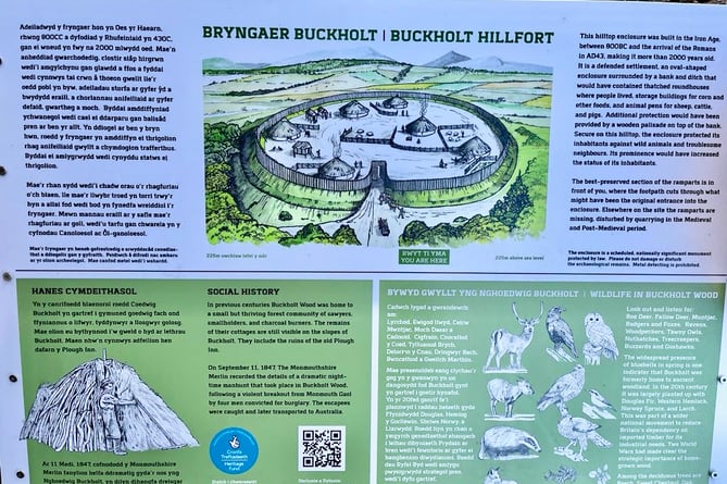 Buckholt Bryngaer CIC hosting Winter “minifest” and launching woods ...