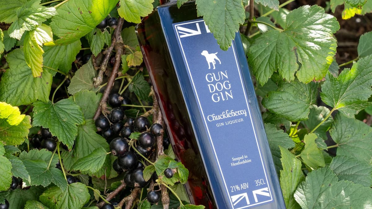 Gun Dog Gin scoops two great taste awards | rossgazette.com