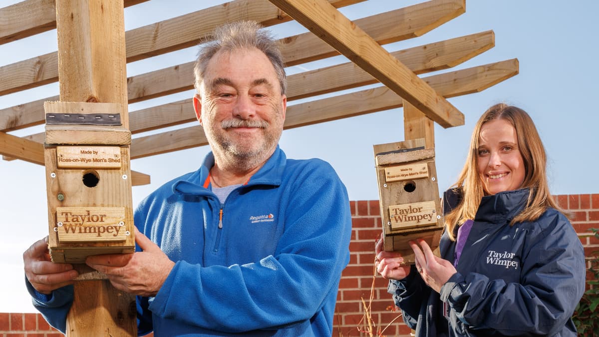 Housing developer teams up with Men’s Shed to create bird boxes ...