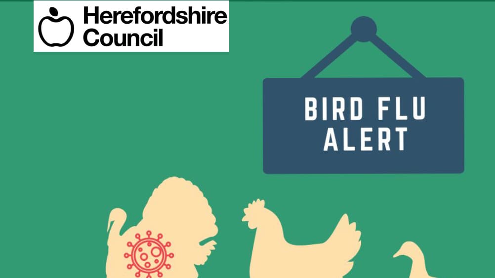 Enhanced measures being taken to help prevent the spread of Avian Flu ...