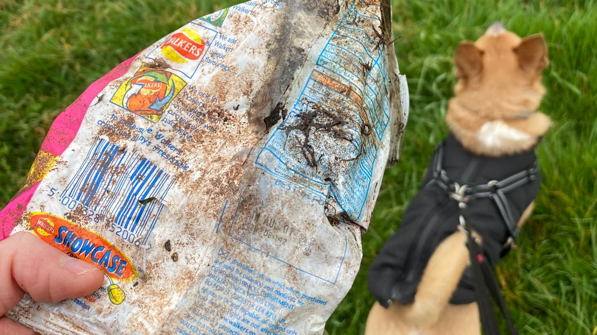 Historic Crisp Packet Found in Ross-on-Wye Litter Clean-Up ...
