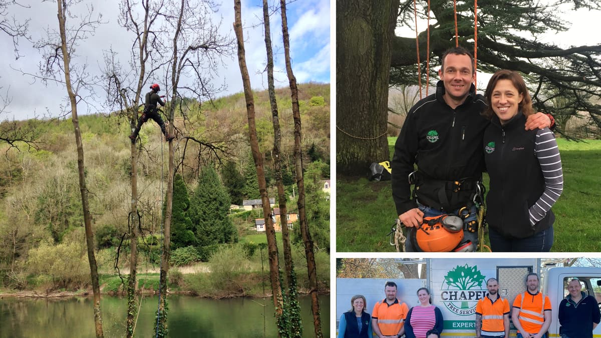 Local company celebrates 20 years of arboriculture | rossgazette.com
