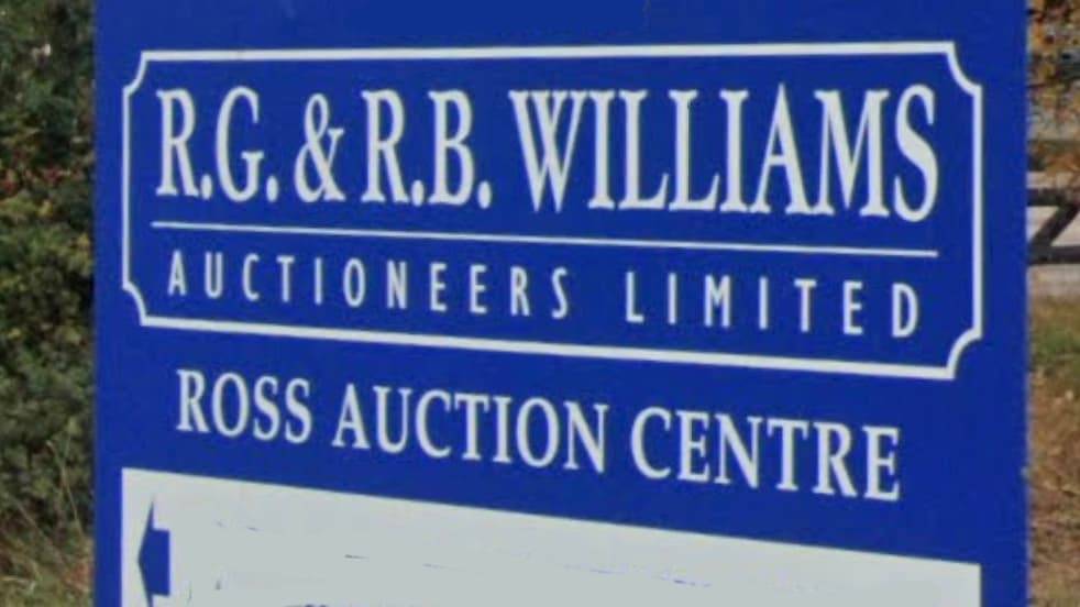 Record livestock prices at Ross auction | rossgazette.com