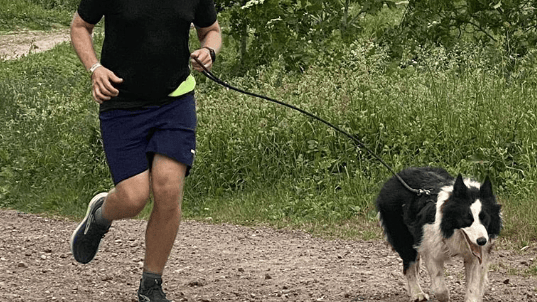 Monross Trailblazers shine at Ross-on-Wye and Monmouth parkruns ...