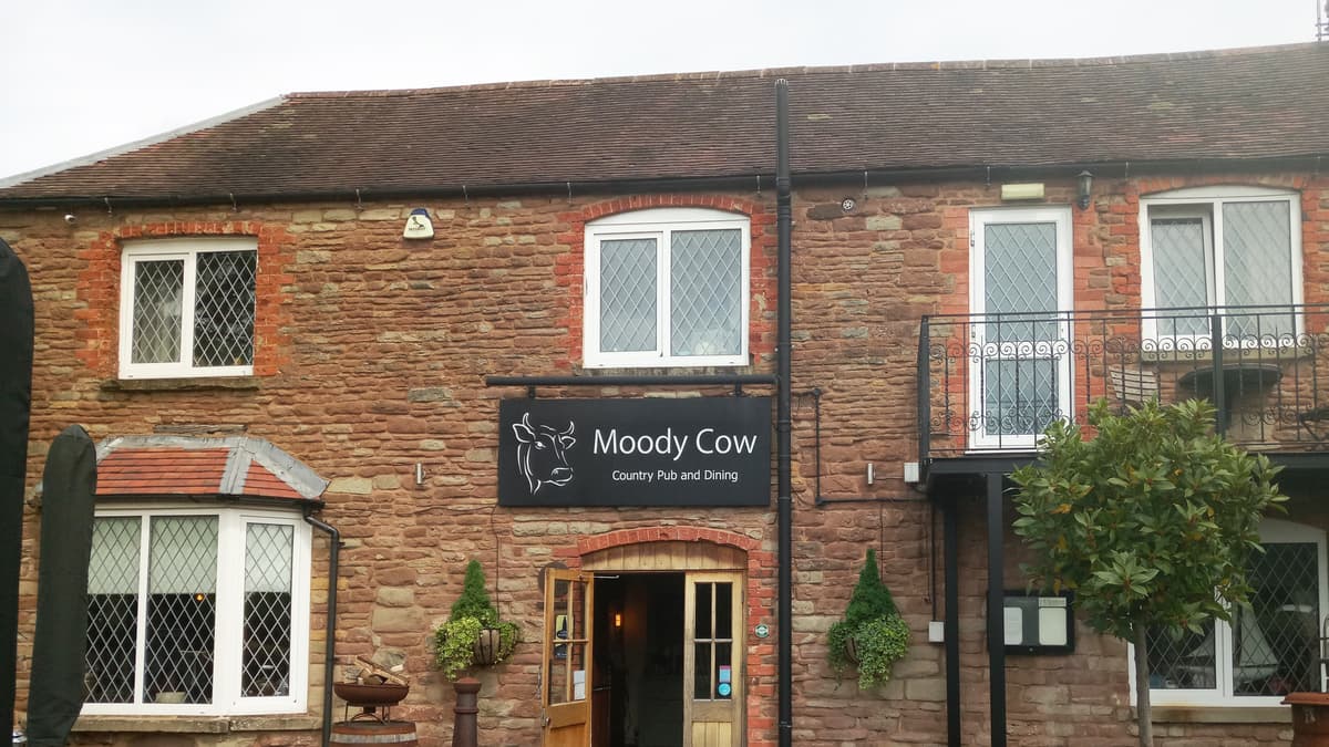 The Moody Cow's memorable name accolade | rossgazette.com