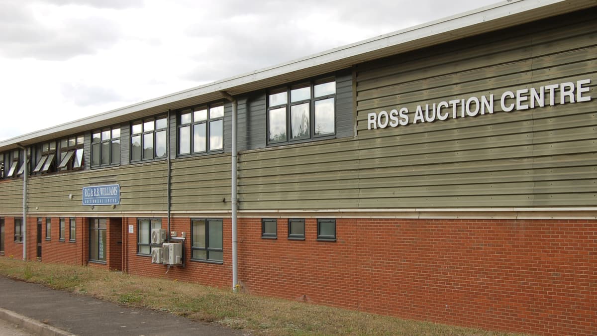 Cattle and lamb prices soar at livestock market auction | rossgazette.com