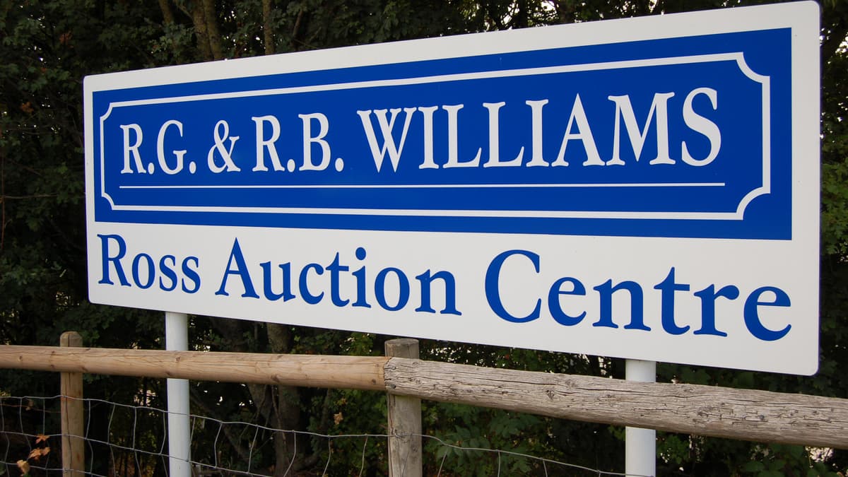 Record prices at livestock auction | rossgazette.com
